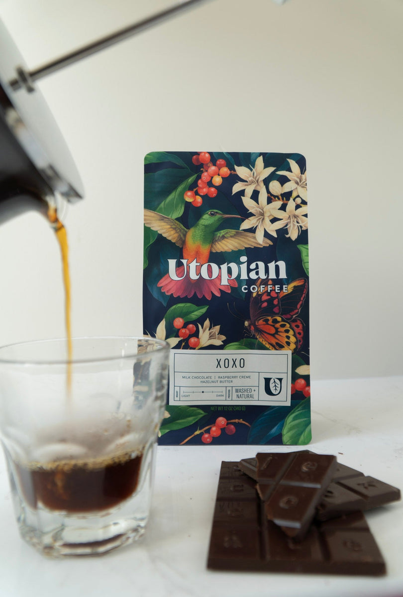 The Ultimate Guide to Mastering the French Press – Utopian Coffee