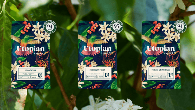 CoffeeReview.com: A Guide to Specialty Coffee Evaluation – Utopian Coffee