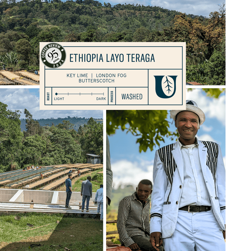 Utopian Coffee • Better Coffee for a Better World