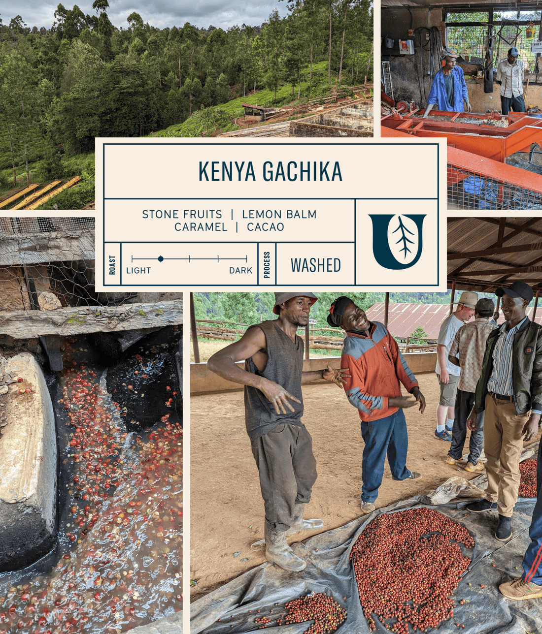 Utopian Coffee • Better Coffee for a Better World